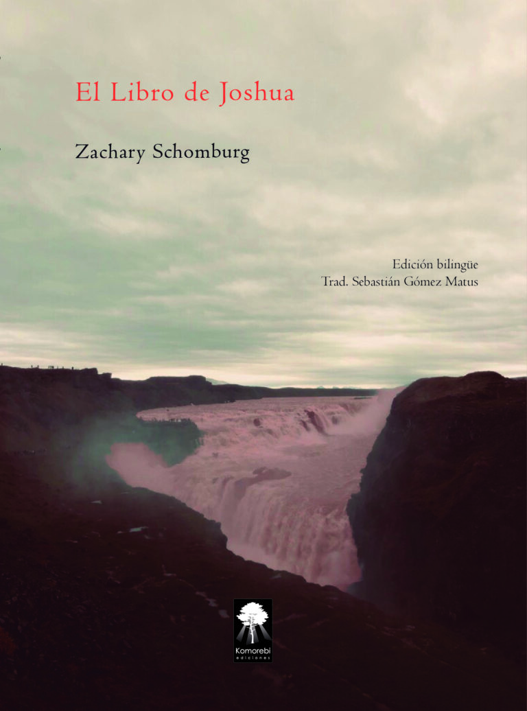 El libro de Joshua – Catalogo de Adquisición de Libros de Autores ...